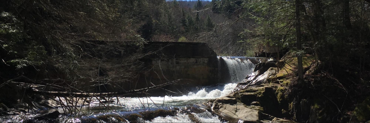 Culverts and Dams